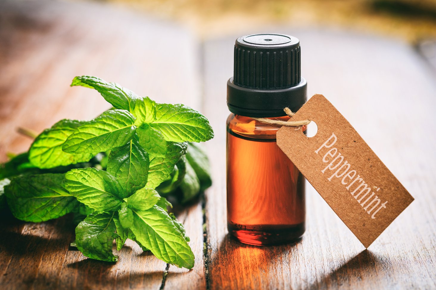 Using Peppermint Oil for Irritable Bowel Syndrome