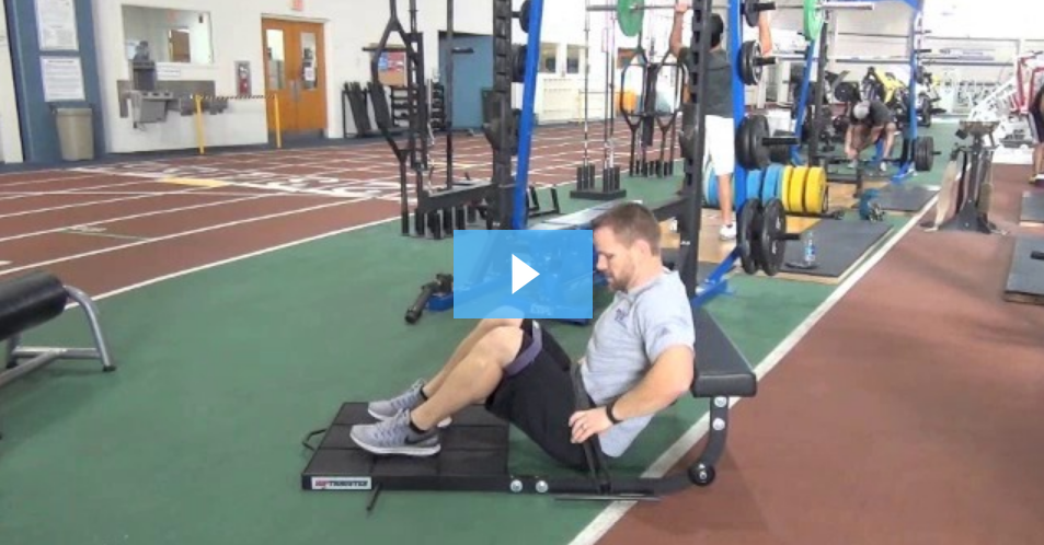 The Benefits of the Hip Press Exercise in Developing Glutes